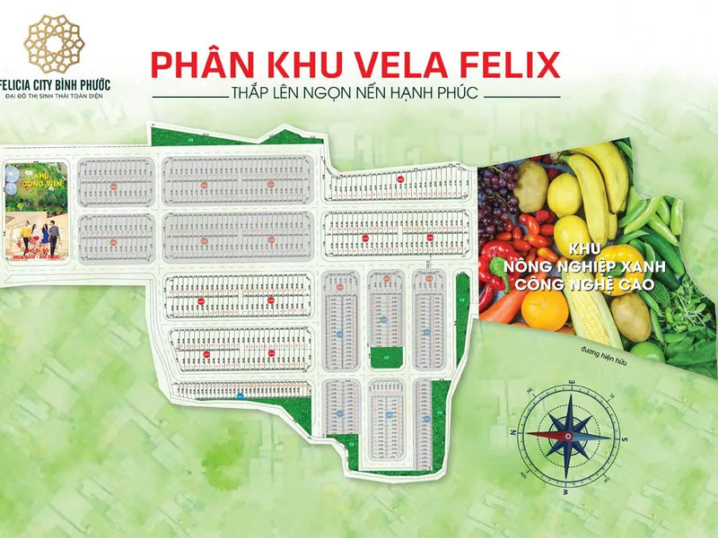 Dự án Phân khu Vela Felix - Felicia City - Thông tin, bảng giá, chính ...